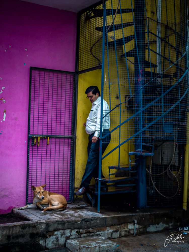 Angad Sethi - Collection from the streets | LensCulture