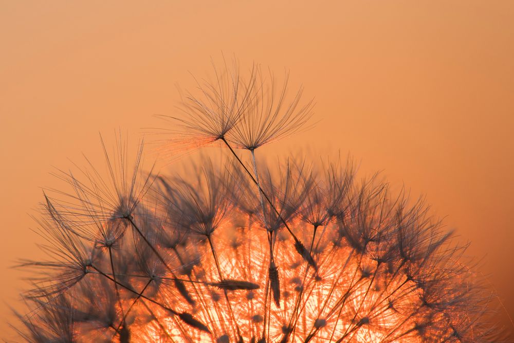 Anna Kropf - Submission | LensCulture