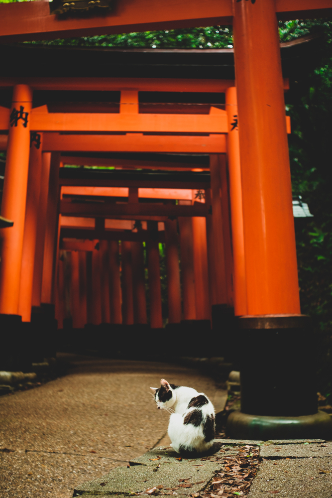 Chiara Leoni | Journeys 2020 Entry