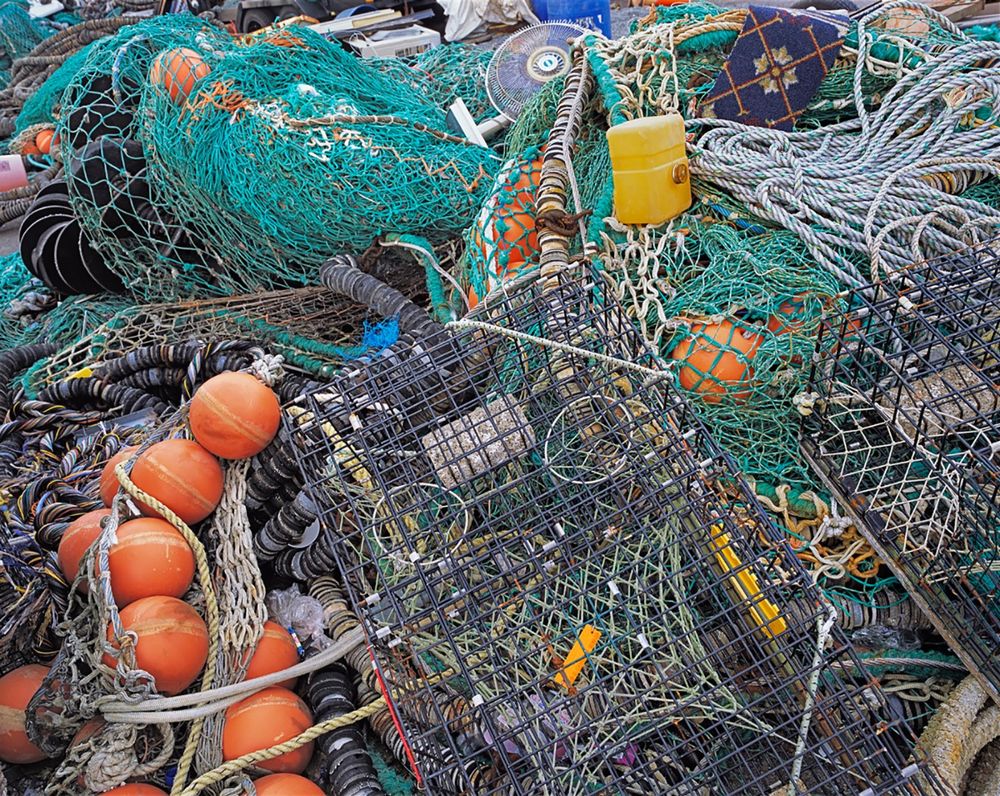 David Ricci - Wave | LensCulture