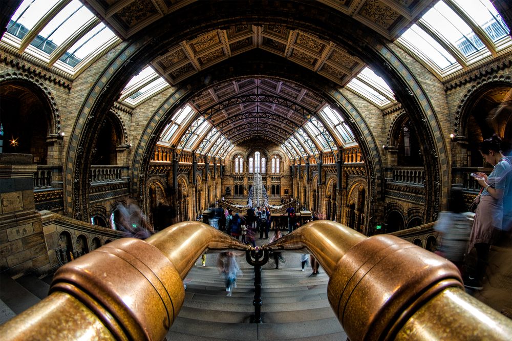 Matteo Angeloni - I sette peccati capitali nelle architetture - The ...