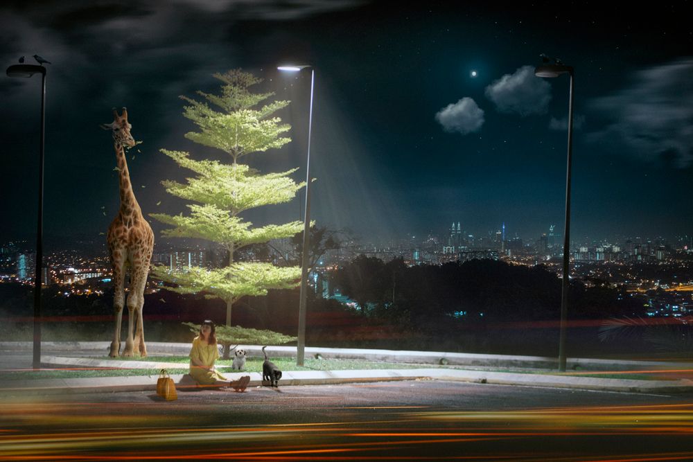 Yong Lin Tan - Step into the Surreal World of YONGL | LensCulture