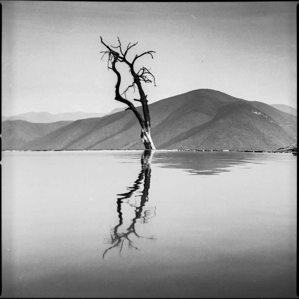 Daniel Robles - Untitled | LensCulture