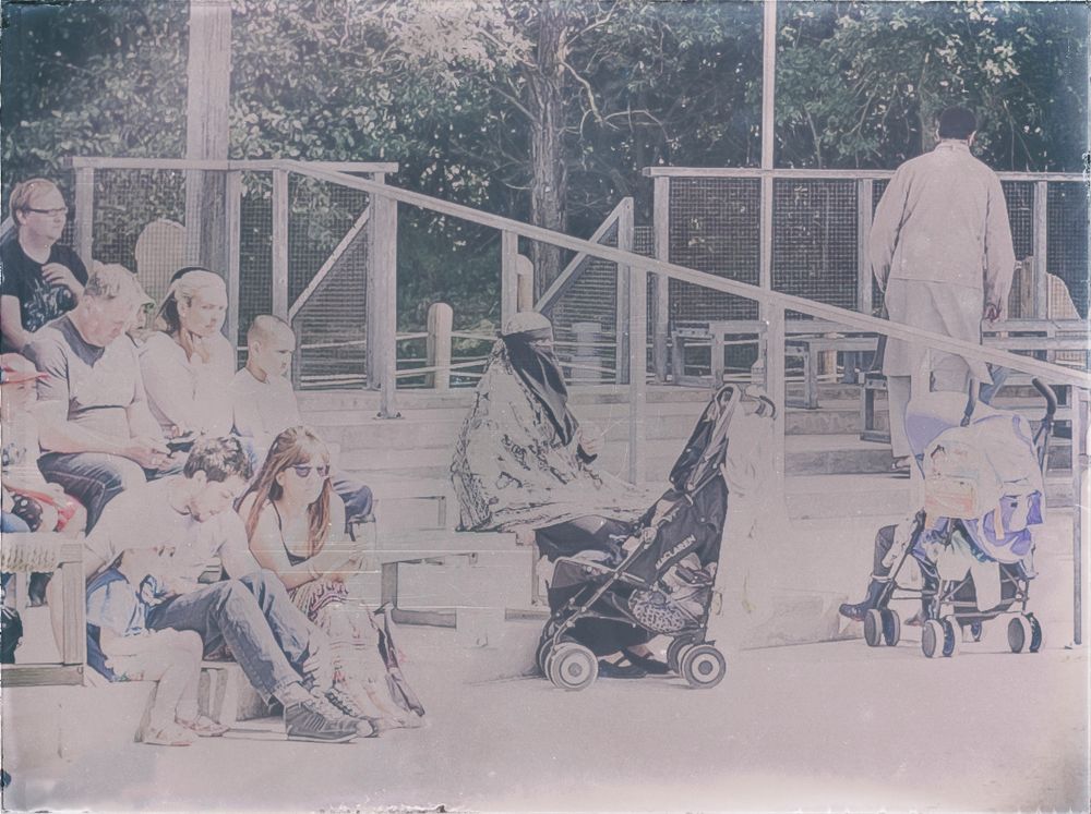 Stephen Shaw - Arrival | LensCulture