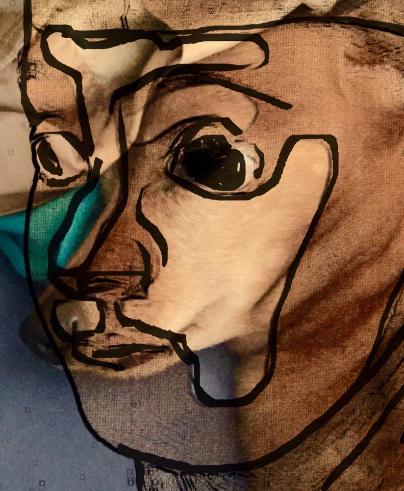 Terry Castle - They're Pretty and Waiting Here For You | LensCulture