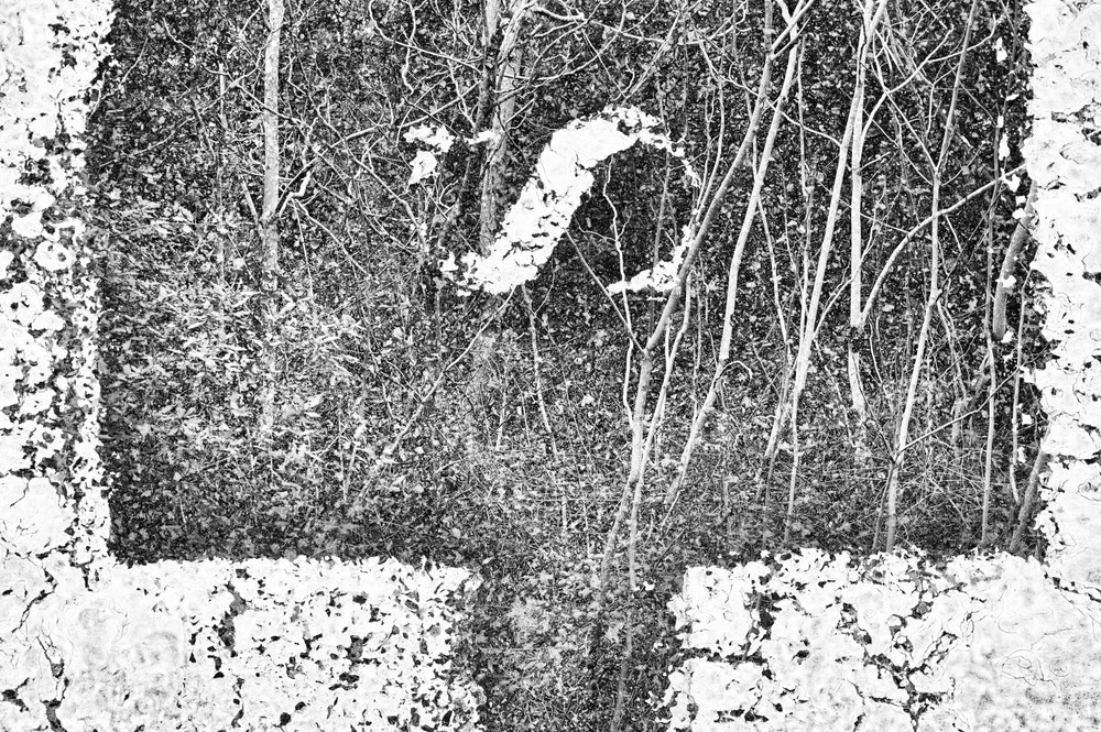 Pascal PINAULT - A shovelful of sand. Une pelletée de sable. | LensCulture