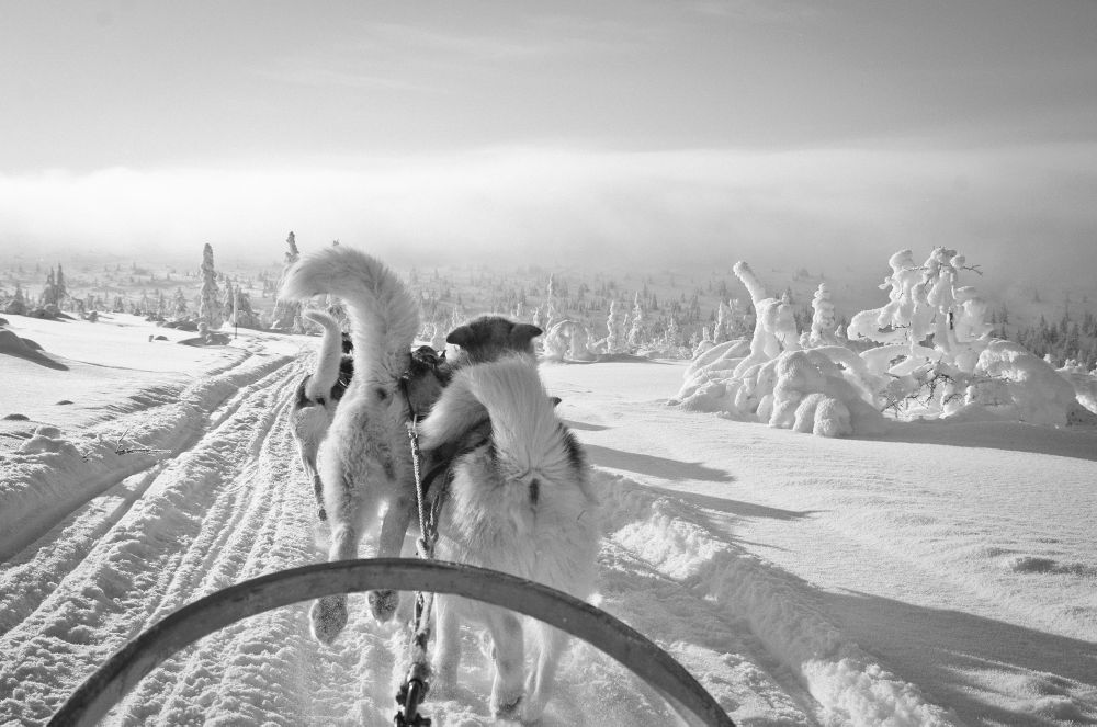 Cletus Nelson Nwadike - A cold case | LensCulture