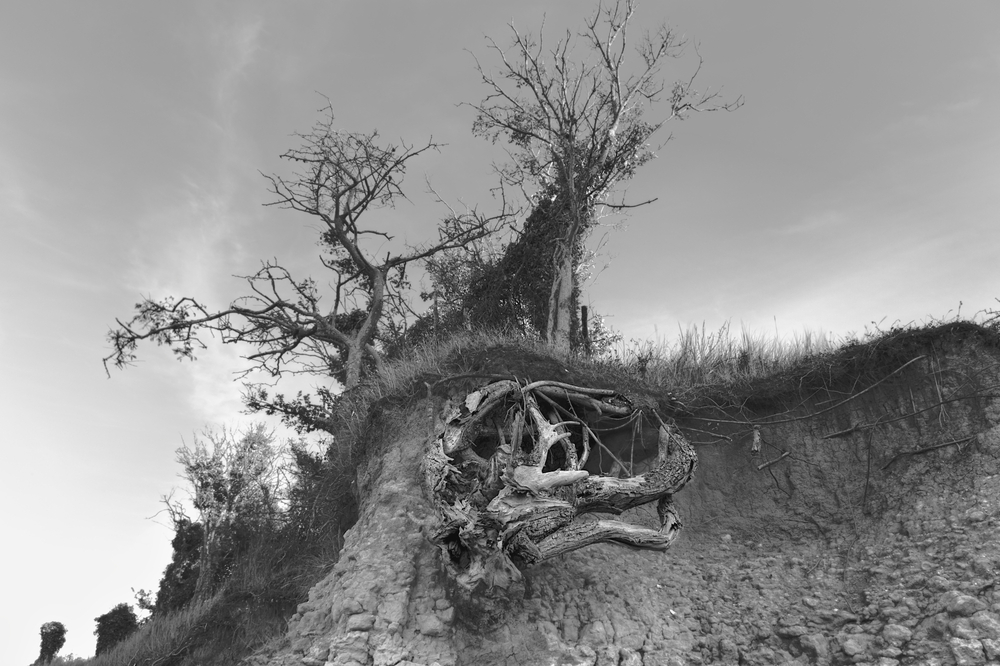 Pascal PINAULT - monstres à Madame | LensCulture