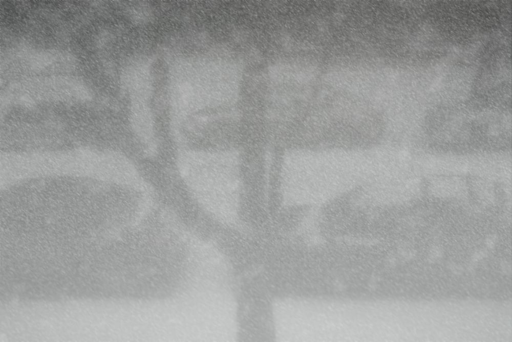 Larry Chait - Gray City | LensCulture