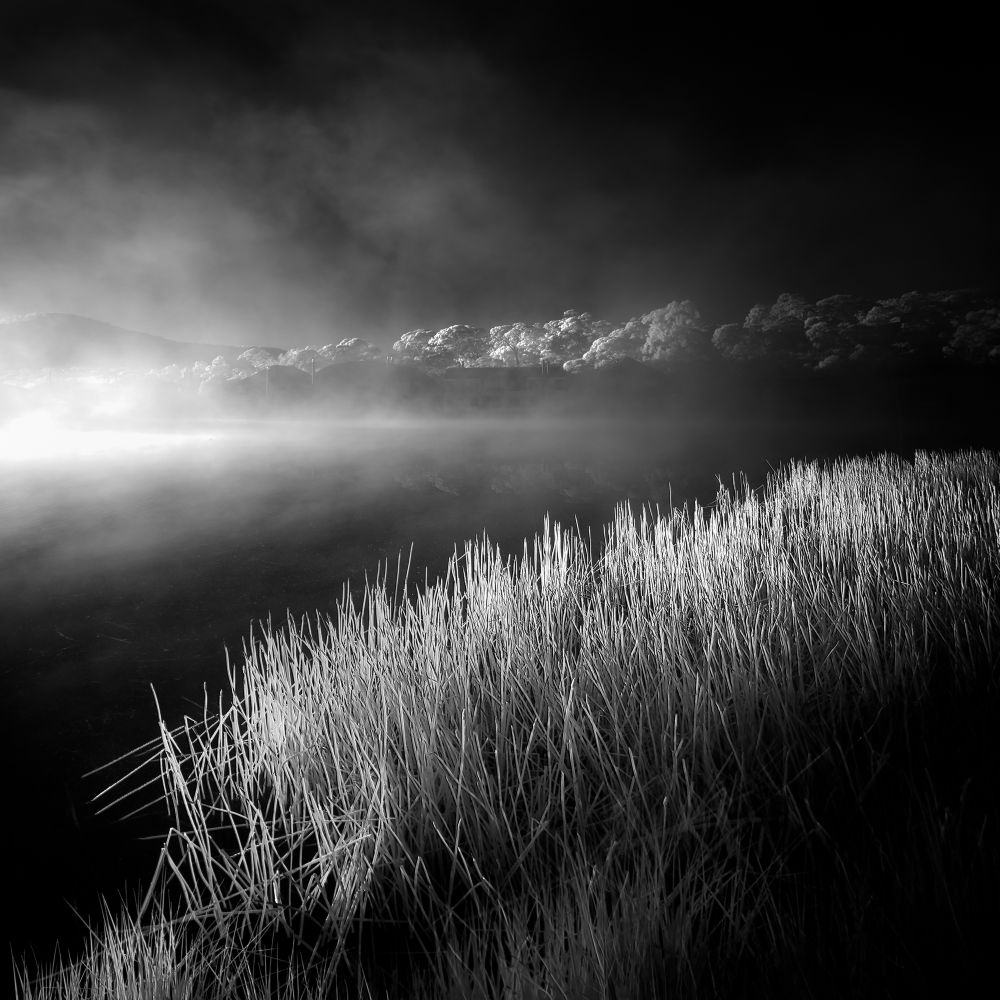 Timothy Moon - Tales by Light | LensCulture