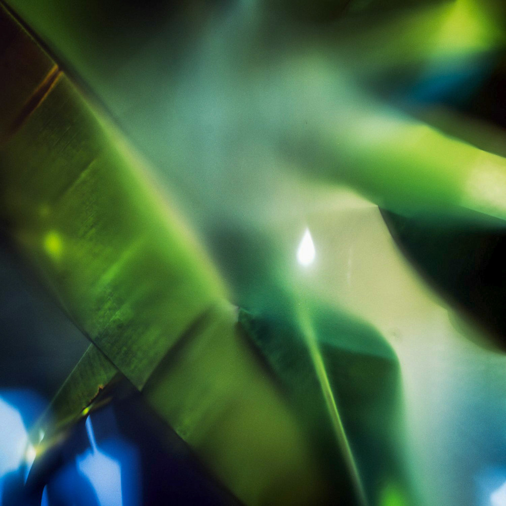 Sven Pfrommer - EVERGREEN | LensCulture