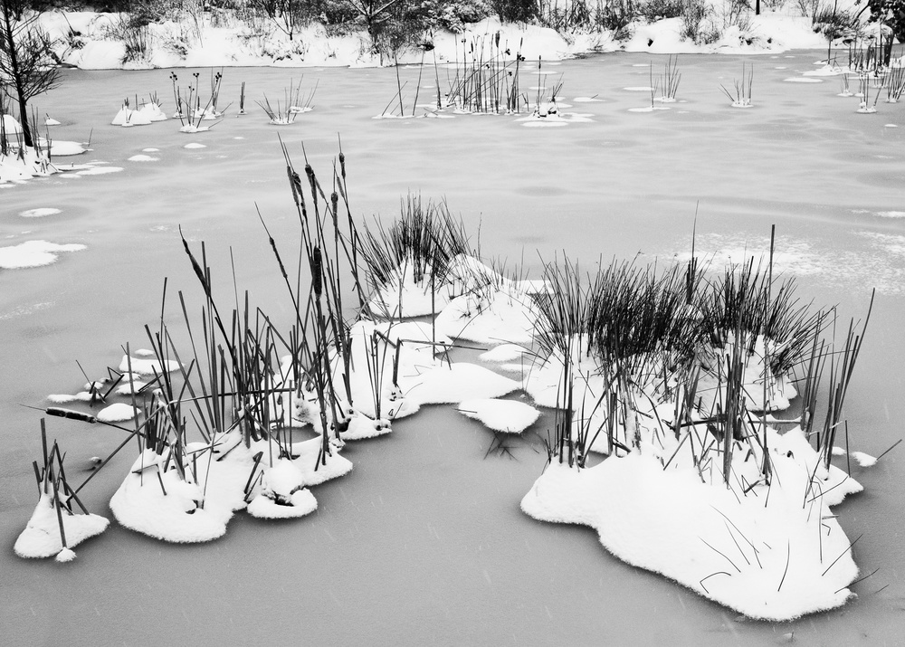 Eric McCollum - The Pond Project | LensCulture