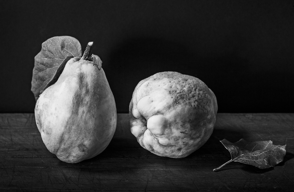 Tariq Dajani - Tariq Dajani and the Art of Filāḥa | LensCulture