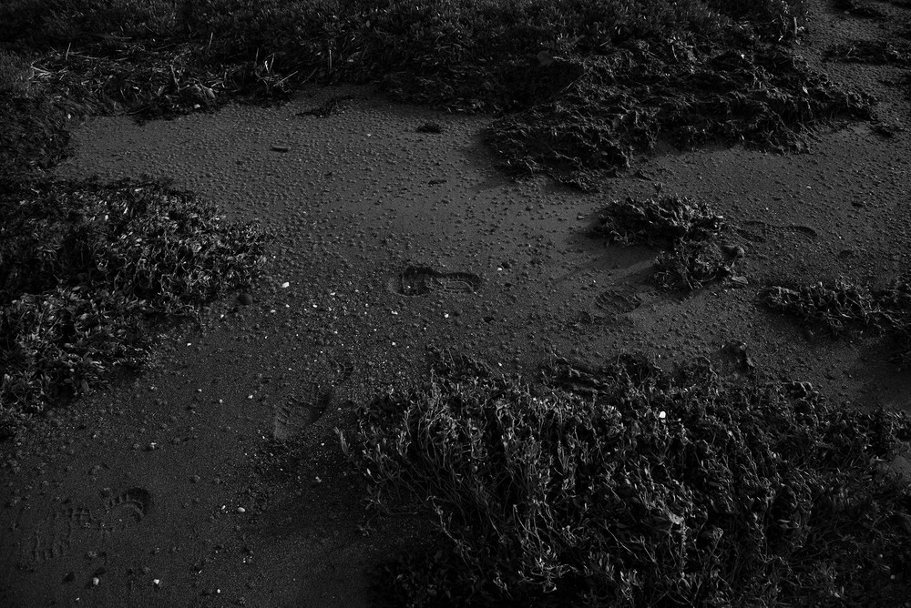 Anna Cassidy - Every Tomorrow | LensCulture