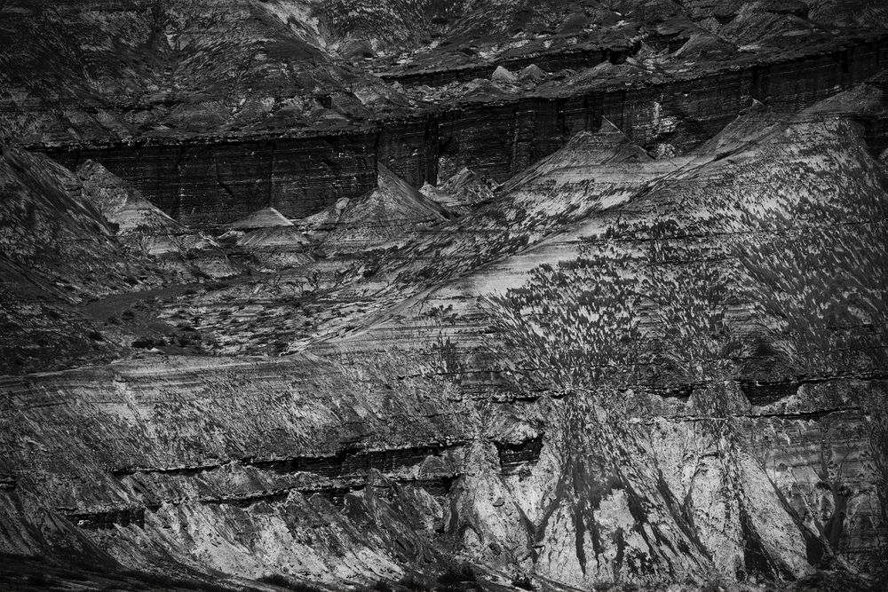 Daniel Ackerman - Submission | LensCulture