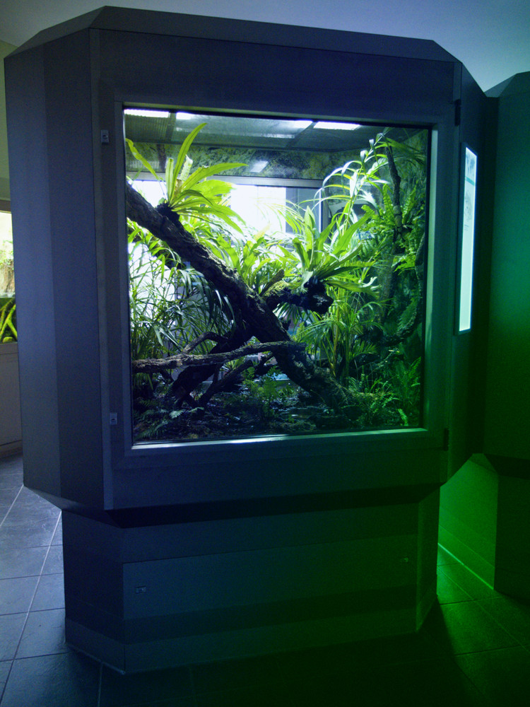 Conrado Velasco - Interior Design in the Age of Extinction | LensCulture