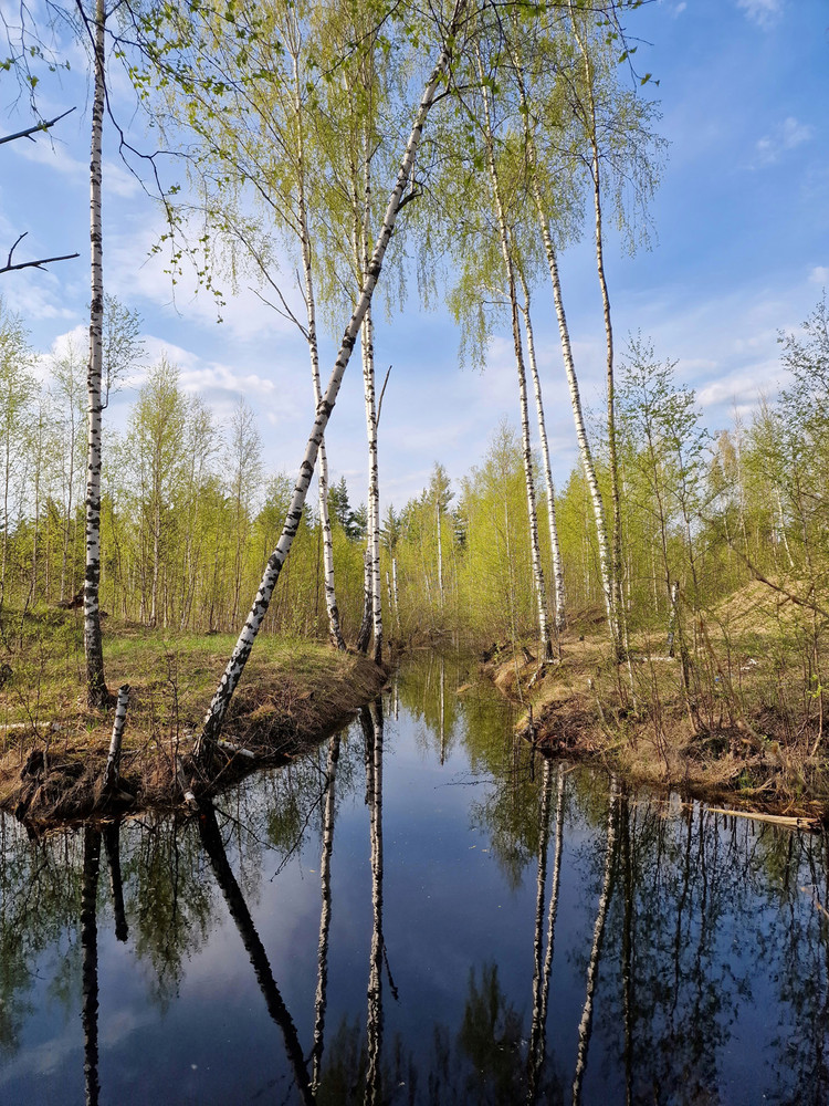 Philipp Grigoryev - May Green | LensCulture