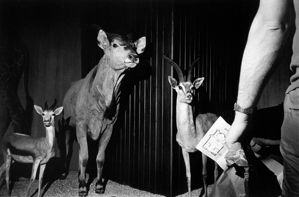 Kevin Horan - Tourists | LensCulture