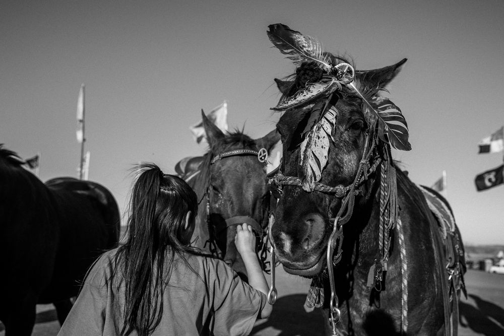 Josue Rivas - Standing Strong: The birth of a Native American Civil ...