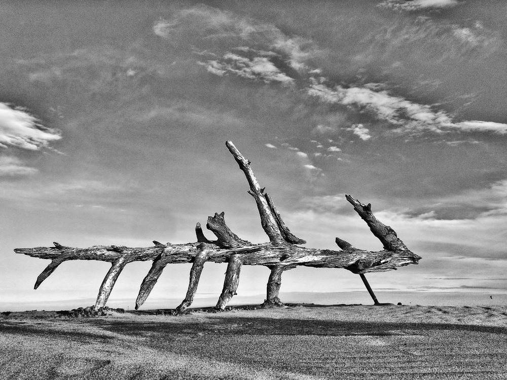 Olivier GRIFFITH - La nature humaine | LensCulture