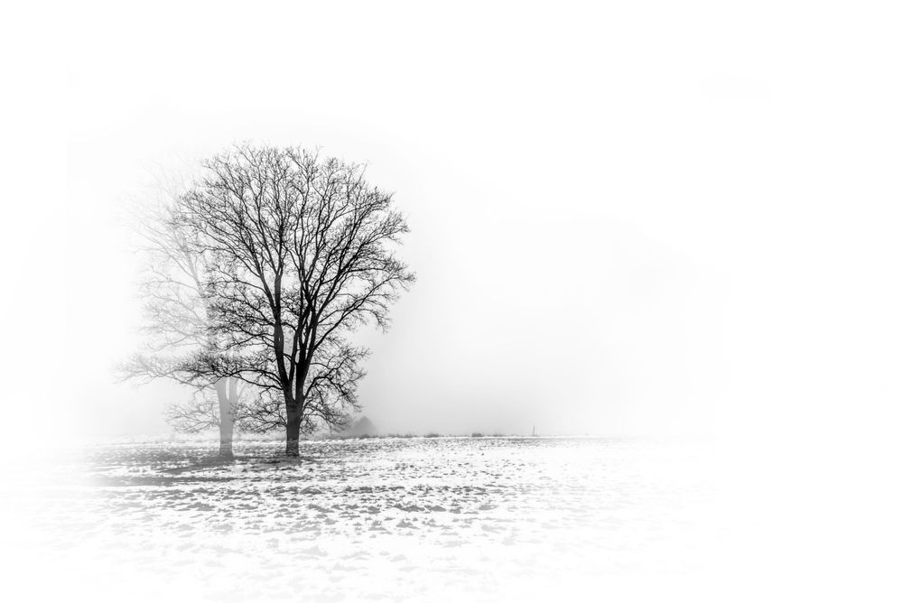 Jacob Lynch - Journey Of A Lost Soul | LensCulture