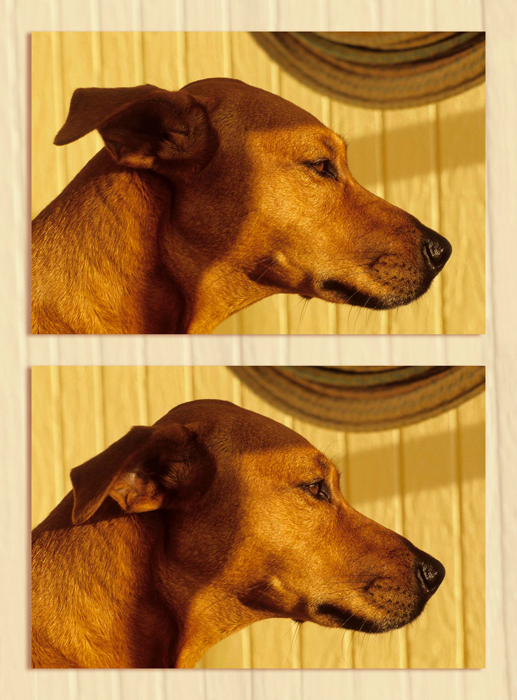 Melissa Schelling - Studies in Loca Motion | LensCulture