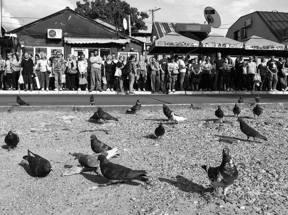 Sava Jevtic - Hope | LensCulture