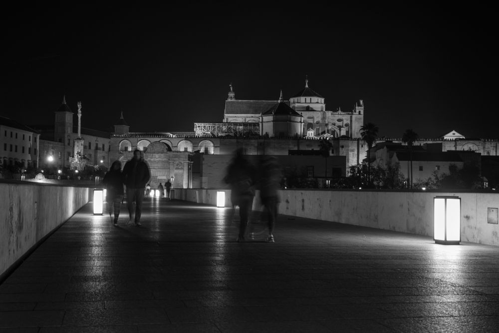 Fatima Khalifa - My start | LensCulture