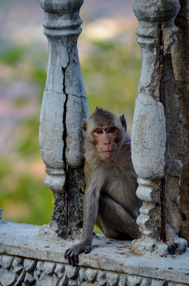 Lior Gazit - Collected Archives | LensCulture