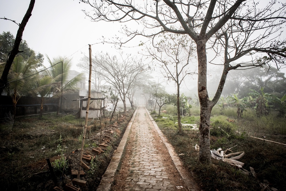 Balarka Brahma - Forward Pass | LensCulture