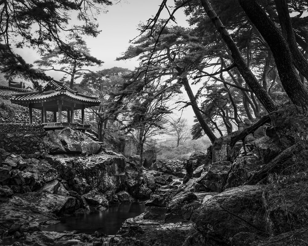 SHIM HOON KIM - Korean Pavilions Laden with the Elegance and Style of ...
