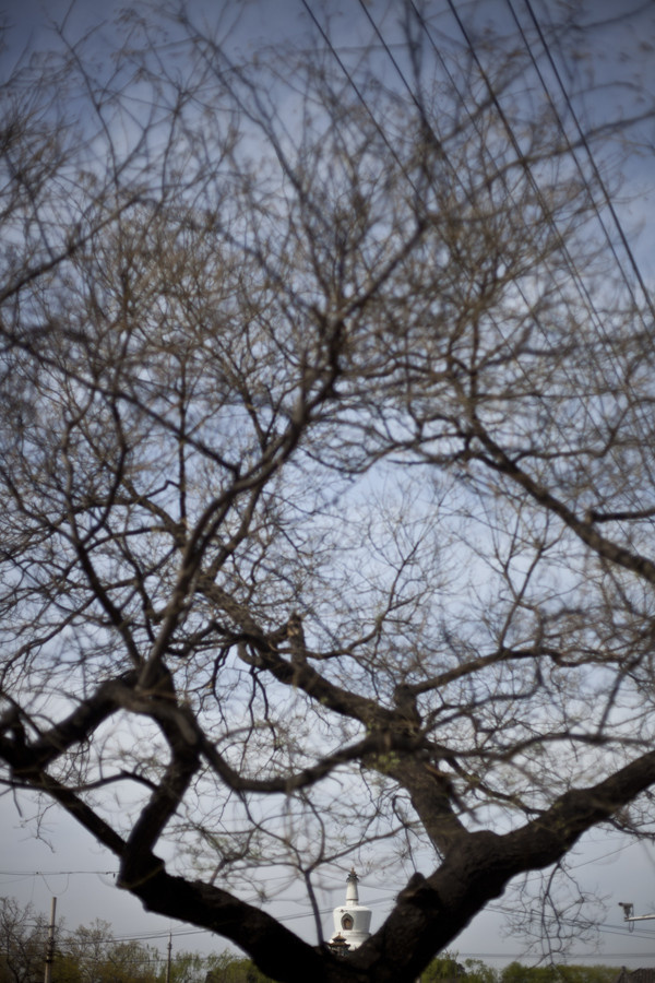 lu song - 2012 | LensCulture