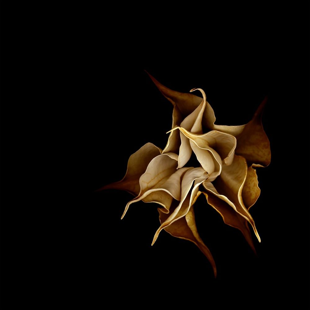 Doris Mitsch - Dark | LensCulture