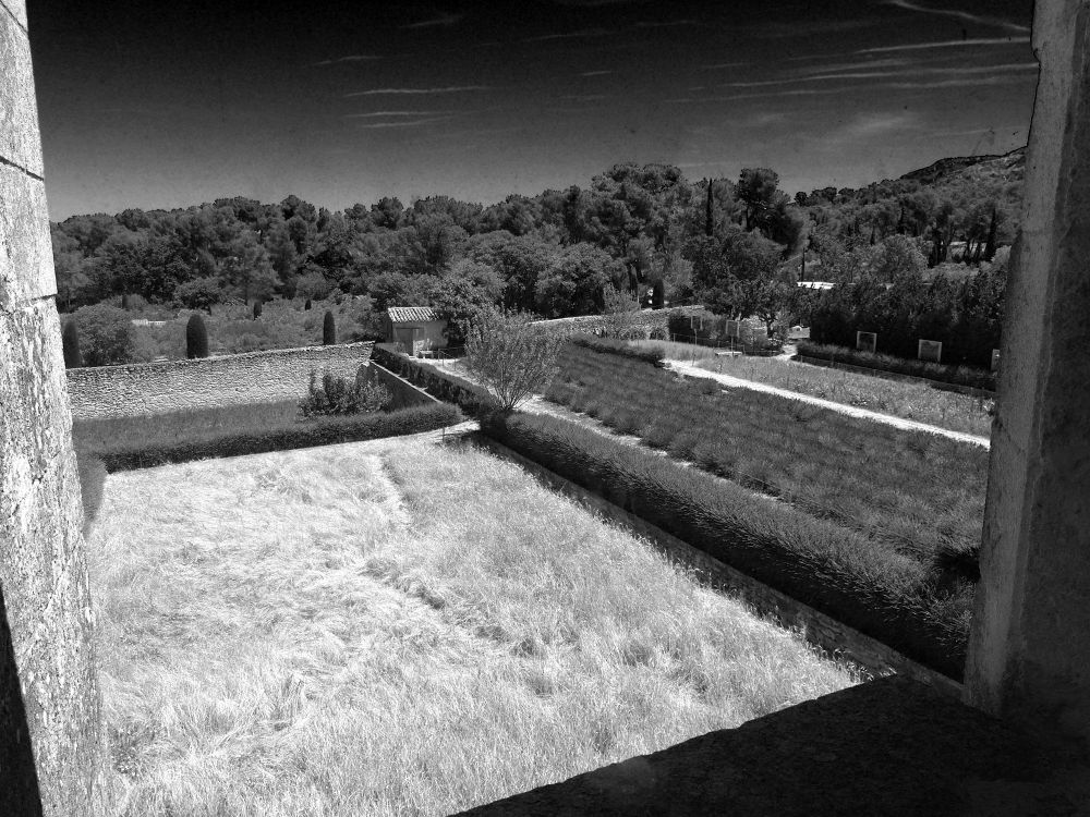 Margaret Kay Dodd - LOVING VINCENT | LensCulture