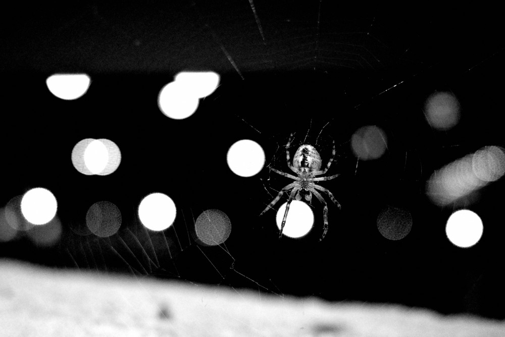 Ivan Sekerka - Definition of Darkness | LensCulture