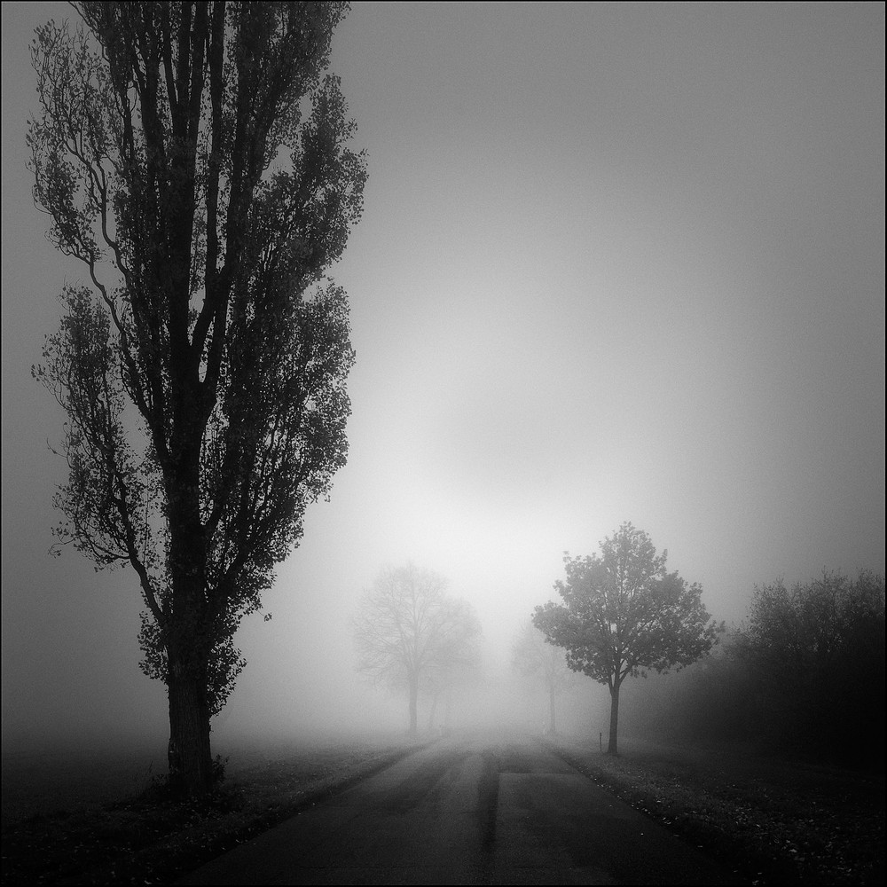 Thomas Reiff - Morning Mist | LensCulture