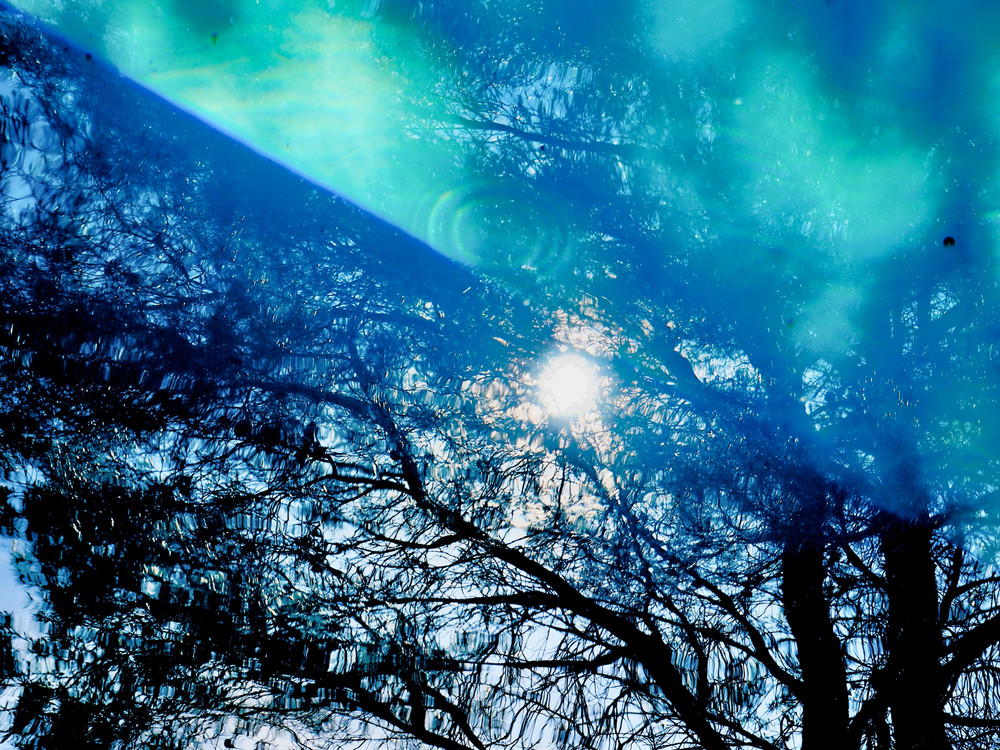 Marion Hébert - Untitled | LensCulture