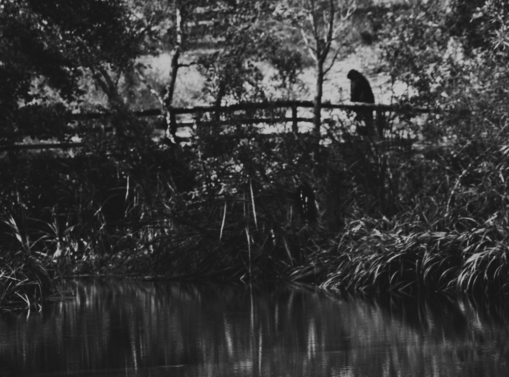 John Rice - 2020 | LensCulture