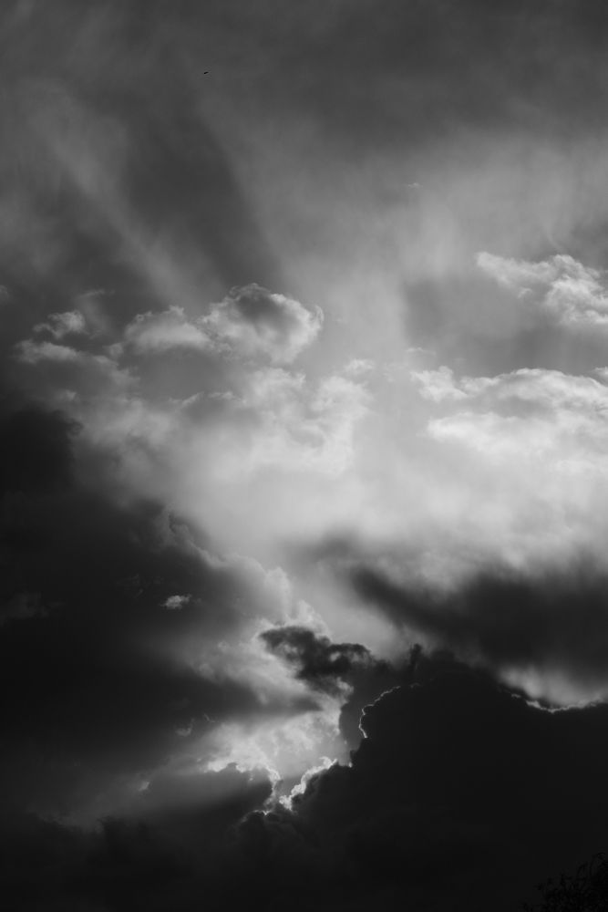 Devin Stevens - Mysterious | LensCulture