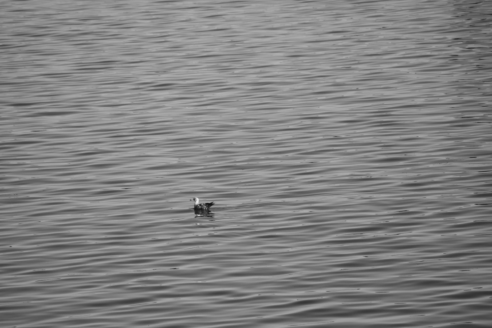 Julia Roemer - Untitled | LensCulture