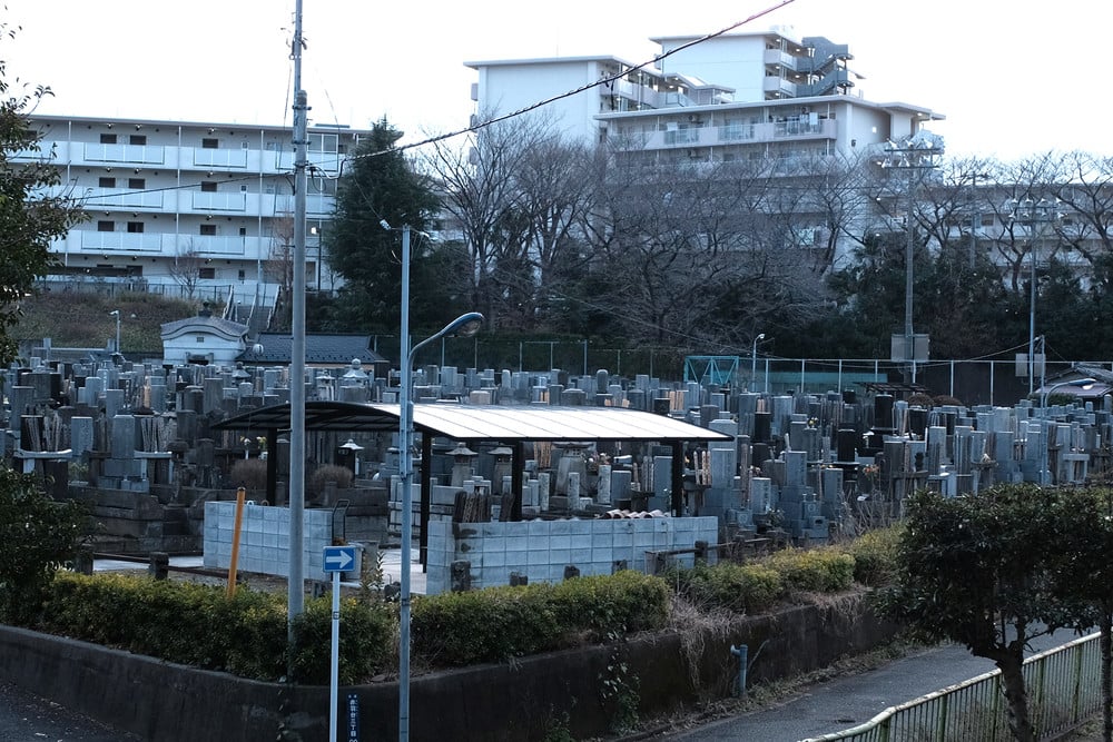 Noriko Honda - EDLP | LensCulture