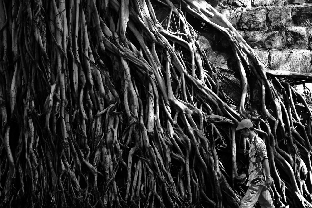 Wilson Sze Shing Au - B&W Streets in Asia | LensCulture