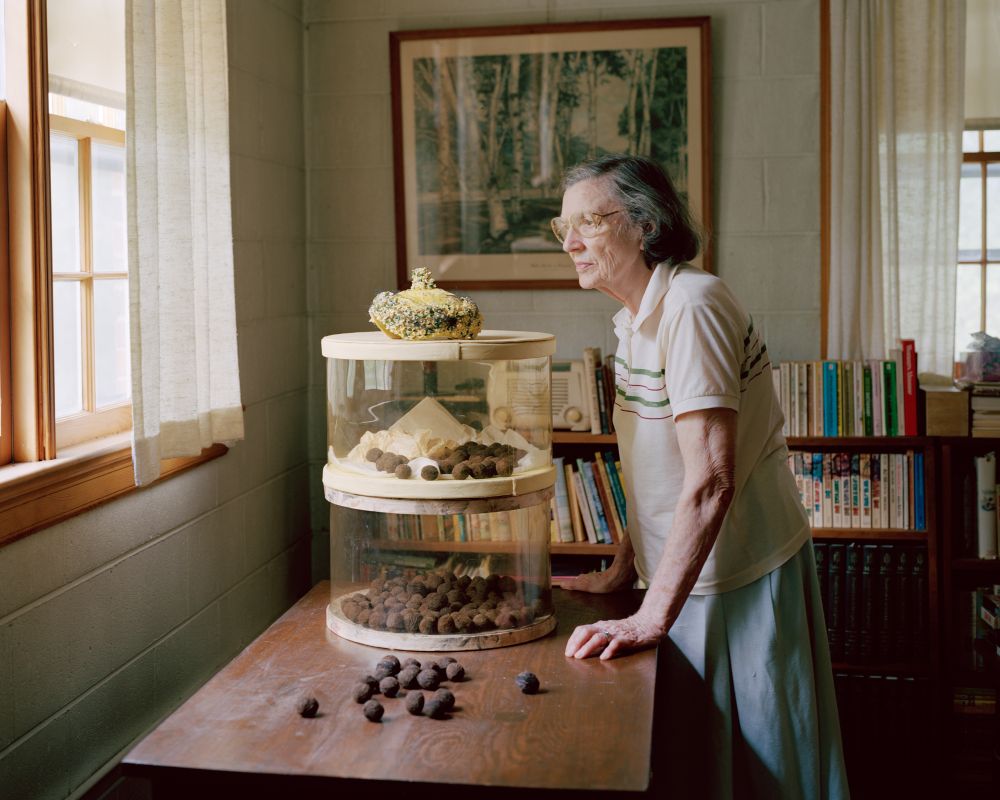 Bittersweet On Bostwick Lane - Photographs and text by Susan Worsham ...