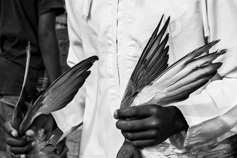 Ali Akkaya - Captive | LensCulture