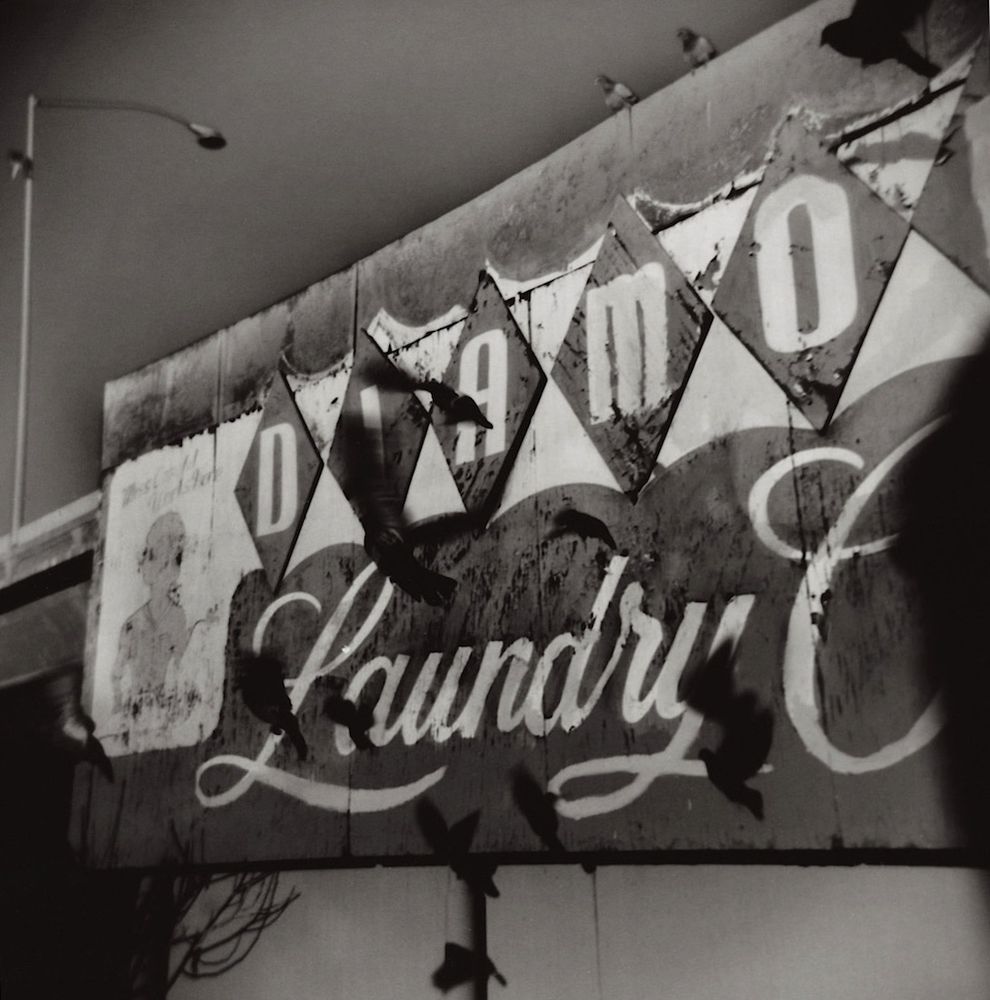 Steven Taddei - Plastic Camera Images Within My Two Worlds | LensCulture