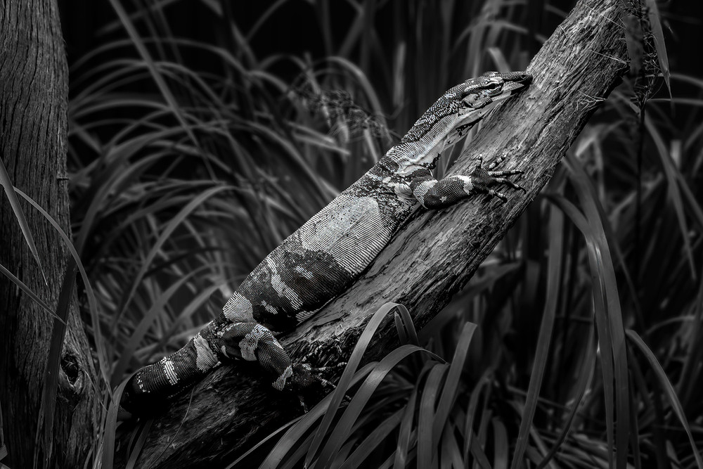 John Bayne - Untitled | LensCulture