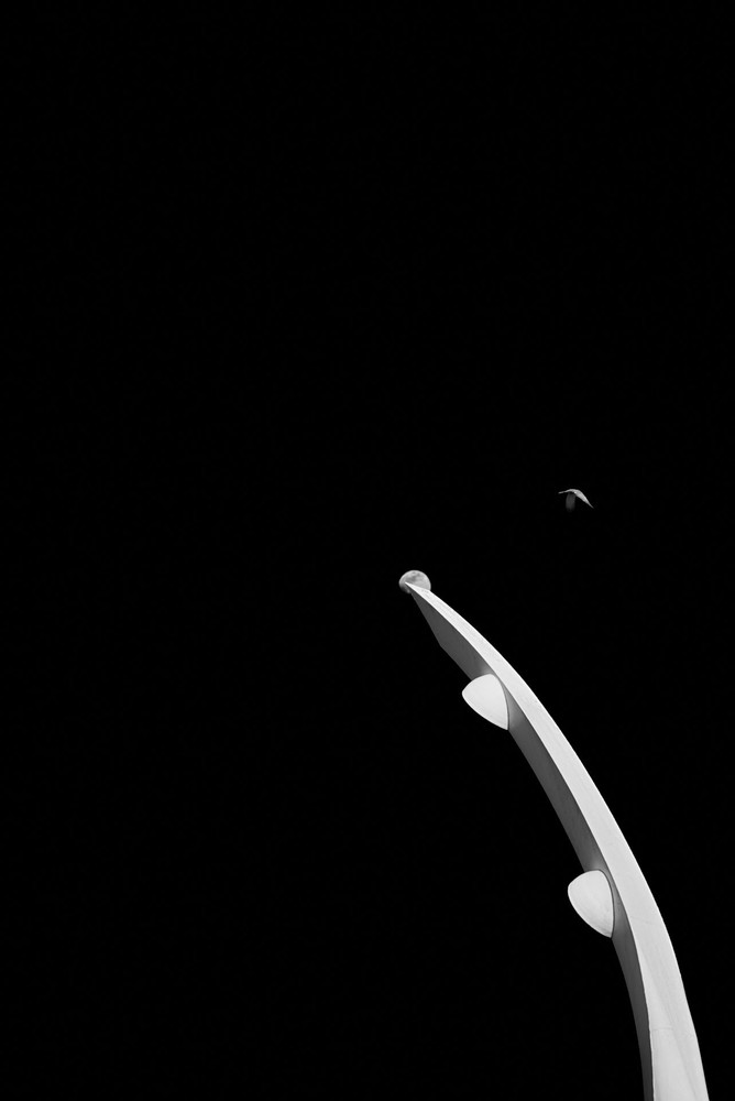 Louis Leon - Structures in Passing | LensCulture