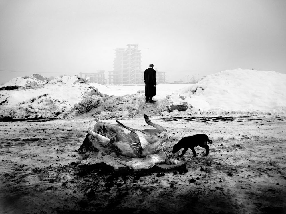 Samad Ghorbanzadeh - Slaughterman | LensCulture