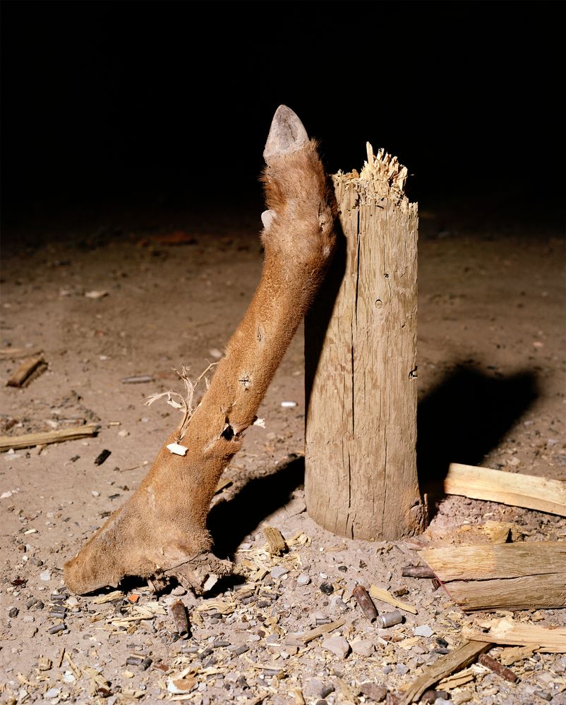 Jennifer Ray - In Range | LensCulture