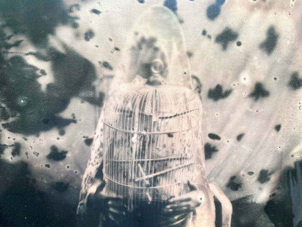 Rebecca Silberman - "Invisible Birds," 2018-2022 | LensCulture